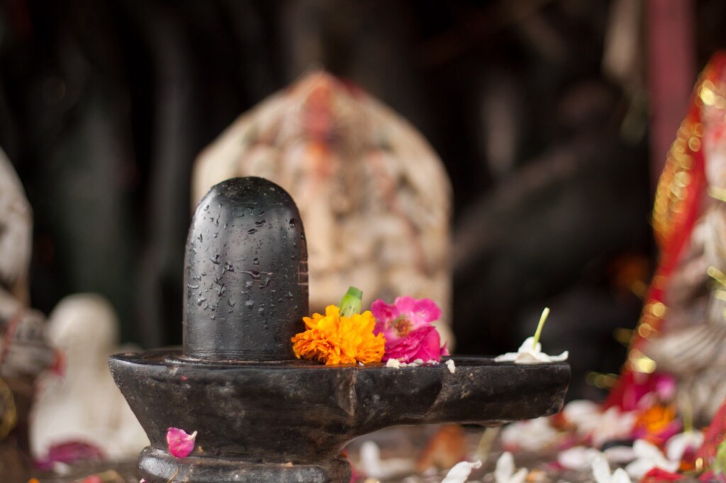 SATYA in India - SATYA